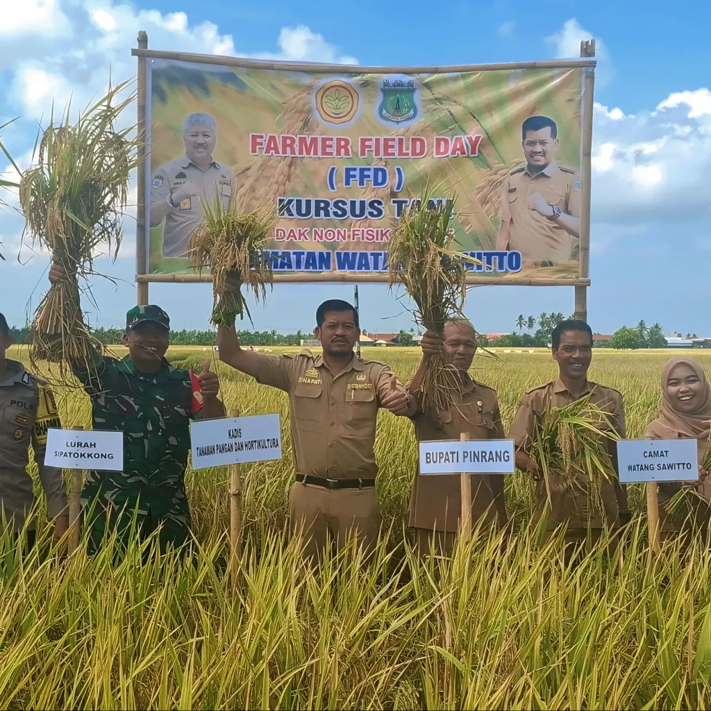 Musim Panen Tiba, Pemkab Pinrang Optimis Produksi Pertanian Meningkat